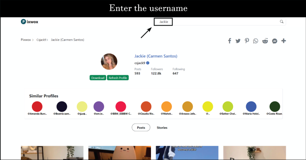 Pixwox Anonymous IG Viewer VS Glassgram Insta Profile Viewer