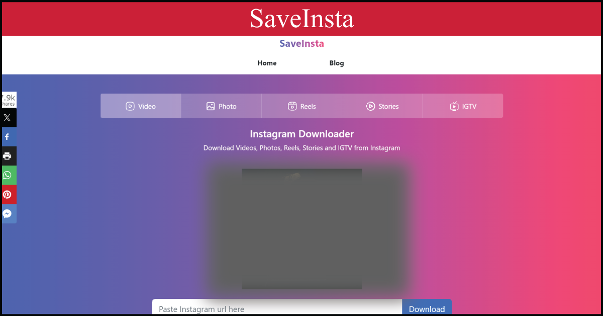 Top 5 Online Instagram Photo Viewers Tools