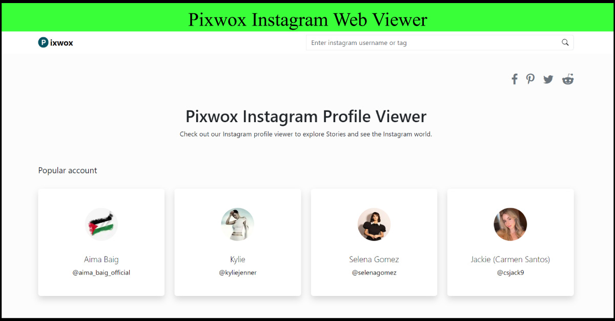 Top 5 Instagram Web Viewers
