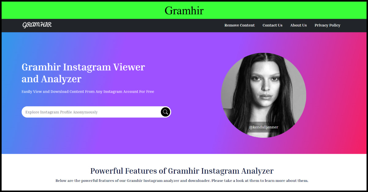 Top 5 Instagram Web Viewers