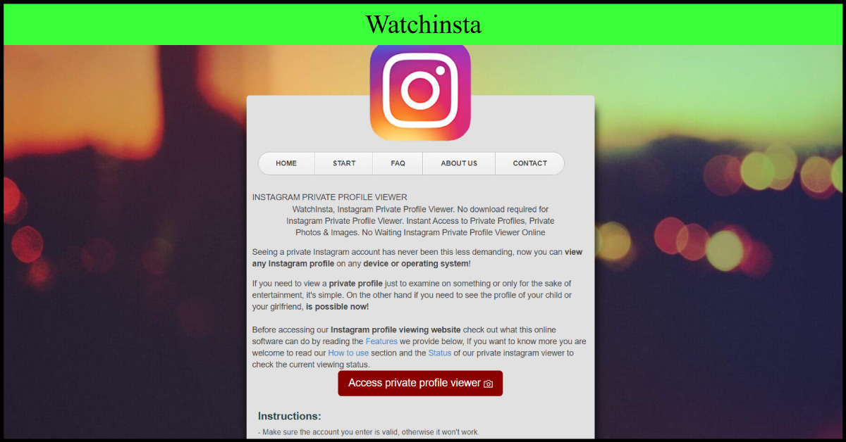 Top 5 Instagram Web Viewers
